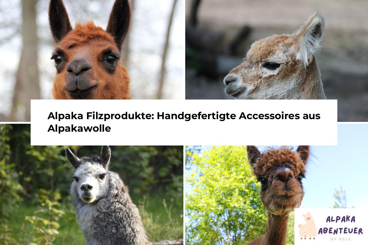 Die verschiedenen Arten von Alpakas: Ein Überblick | Alpaka Abenteuer