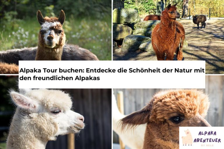 Die verschiedenen Arten von Alpakas: Ein Überblick | Alpaka Abenteuer